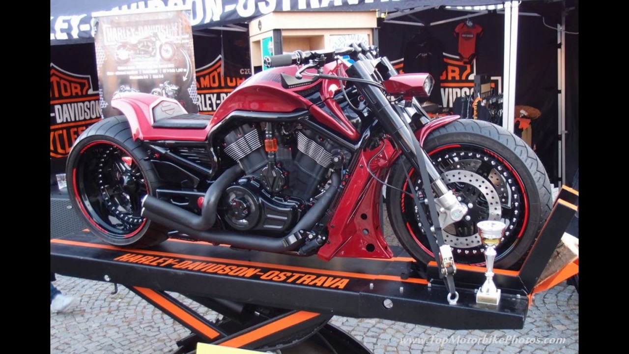 Harley Davidson V Rod muscle custom - YouTube