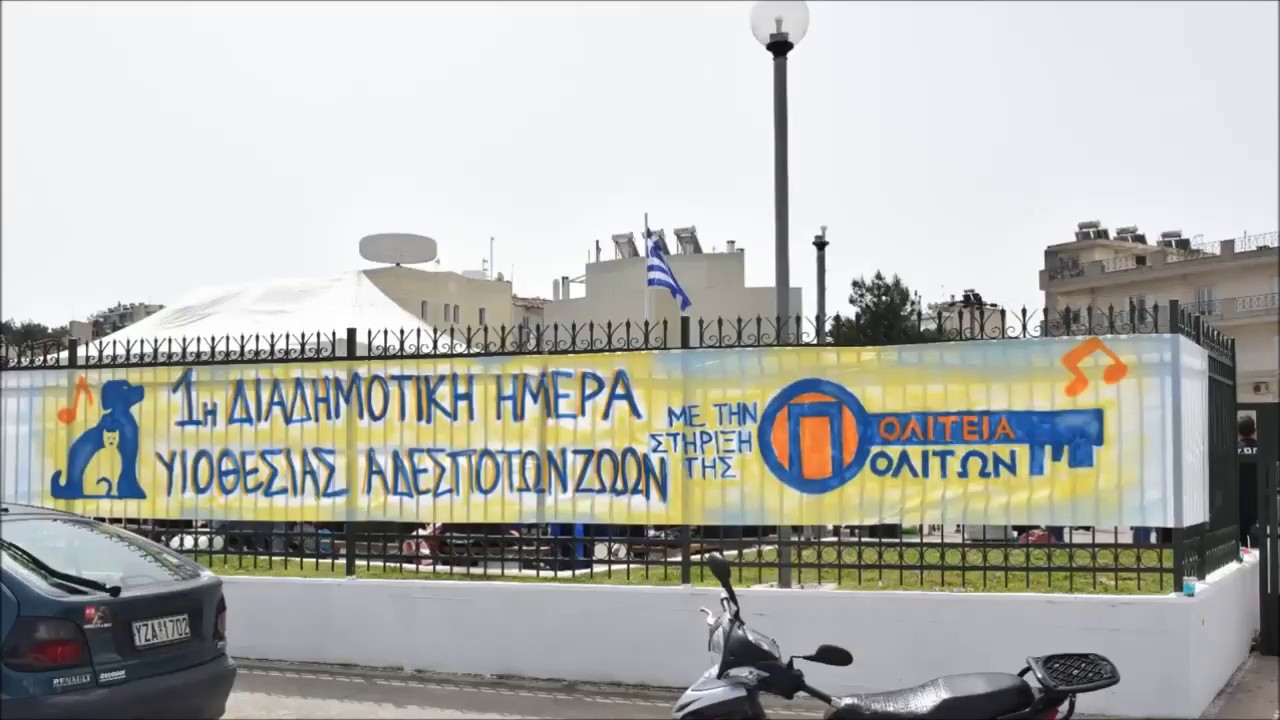 ΔΙΑΔΗΜΟΤΙΚΗ ΗΜΕΡΑ ΥΙΟΘΕΣΙΑΣ ΑΔΕΣΠΟΤΩΝ ΖΩΩΝ ΣΤΗ ΜΕΤΑΜΟΡΦΩΣΗ - YouTube