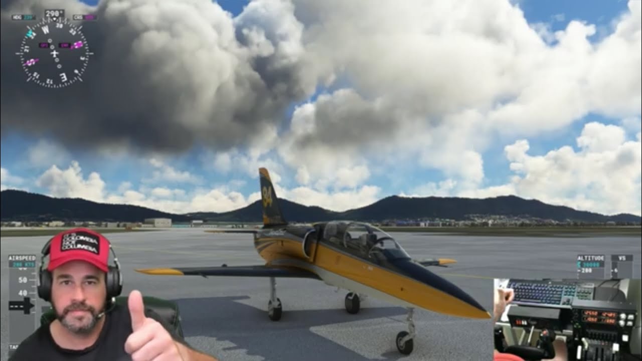 AERO Vodochody L-39C TUMBLING GOOSE REVIEW - YouTube