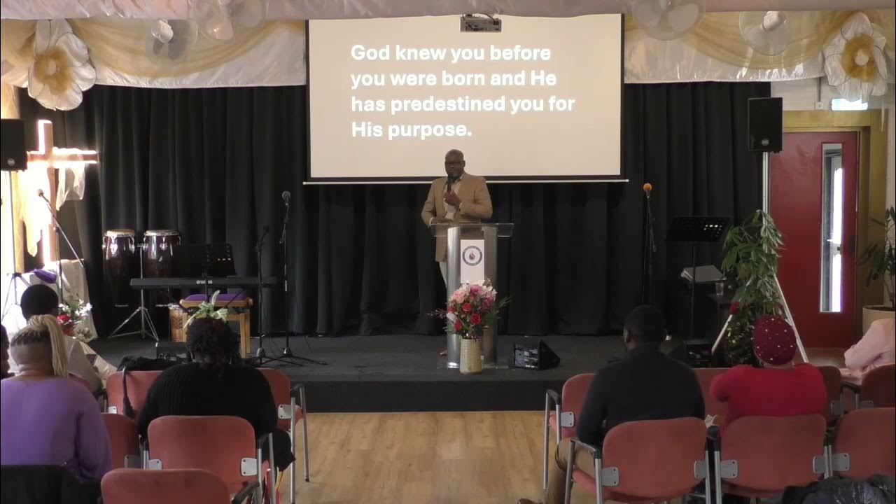 UNDERSTANDING GOD'S PURPOSE FOR YOUR LIFE - YouTube