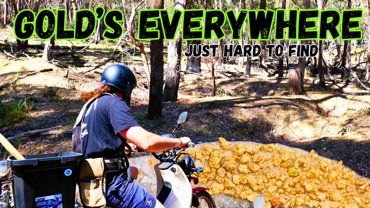 Awesome First Few Hours in New Location! - YouTube