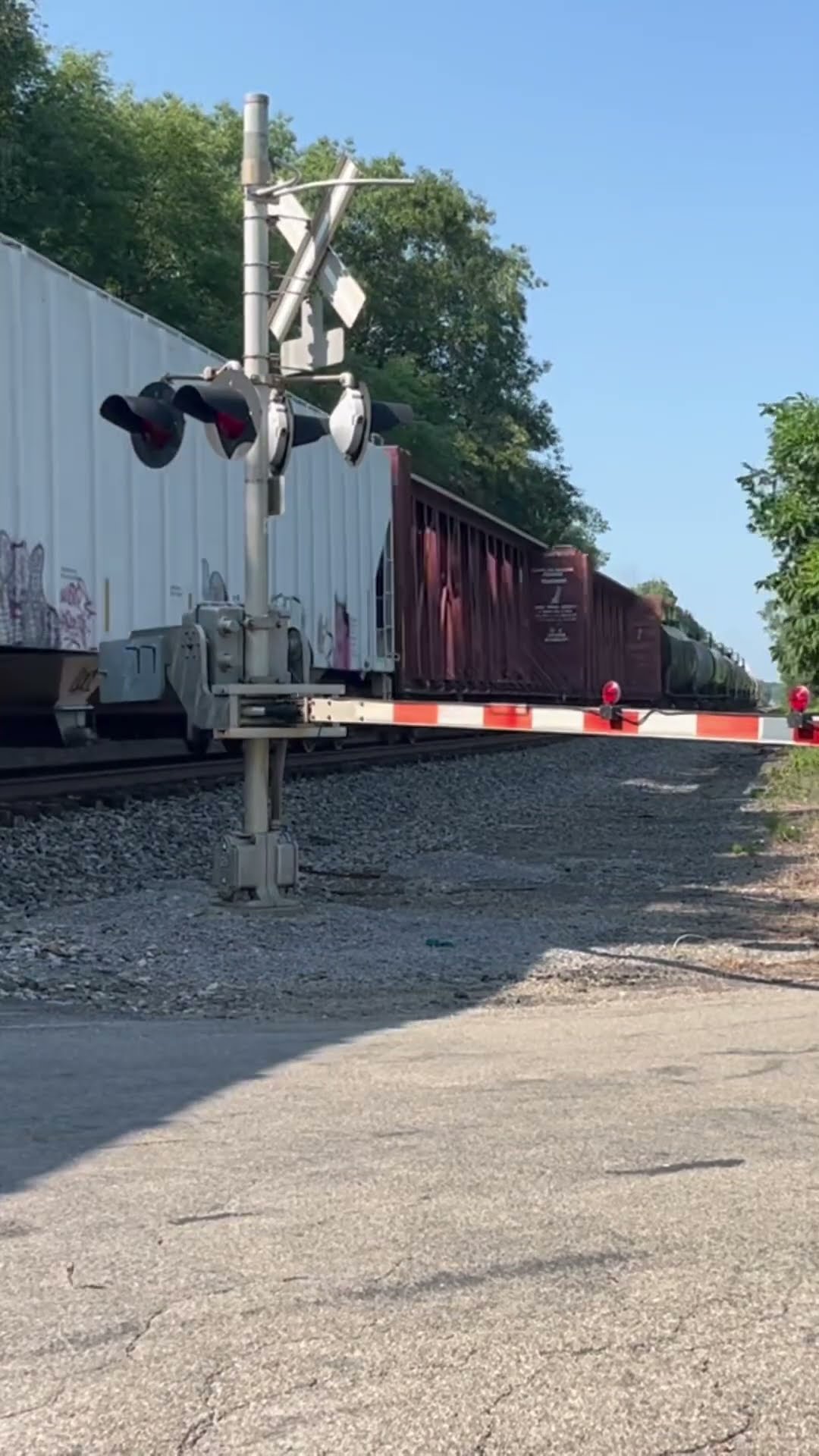 NS C6M with K5LLA and a very tiny NS 14M - YouTube