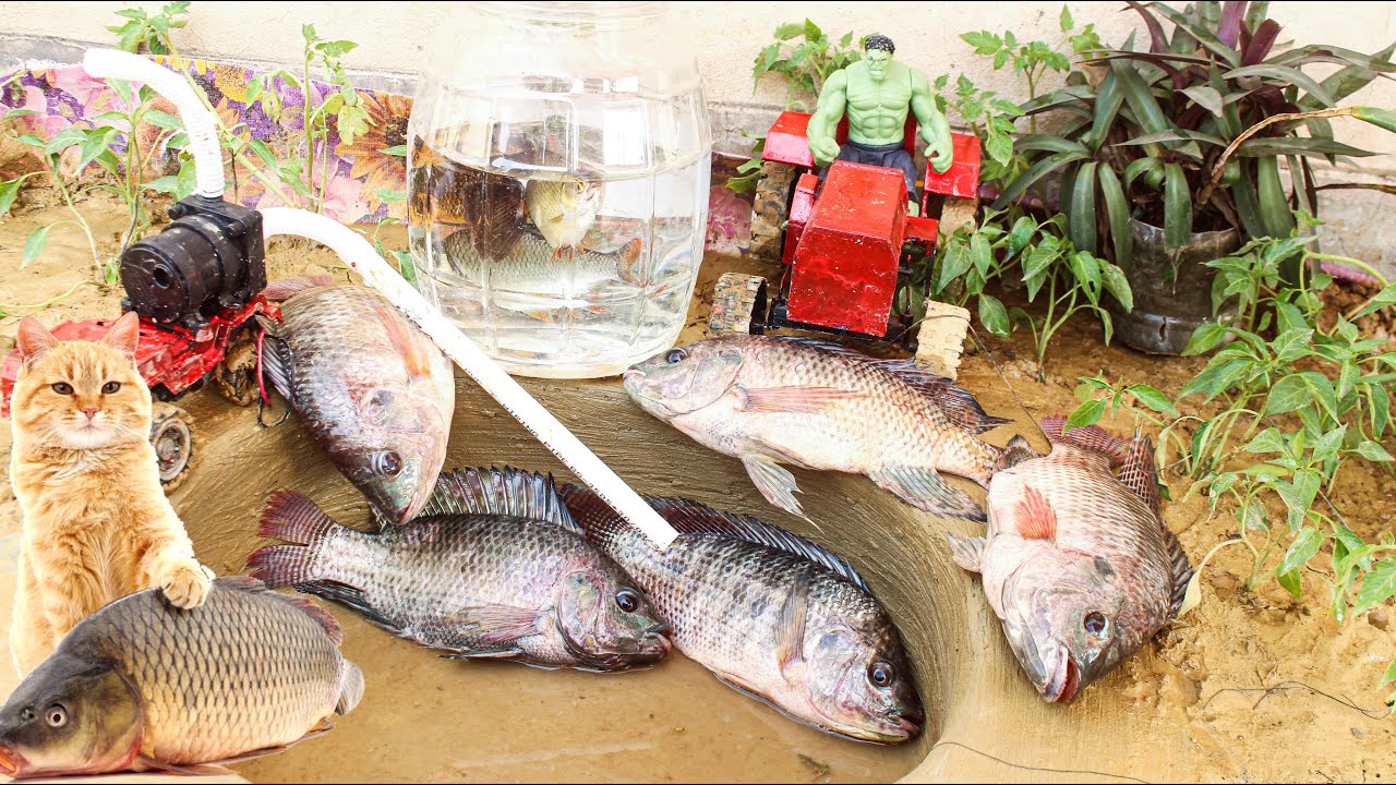 Catch fish using mini water pump | fishing exciting | diy tractor ...
