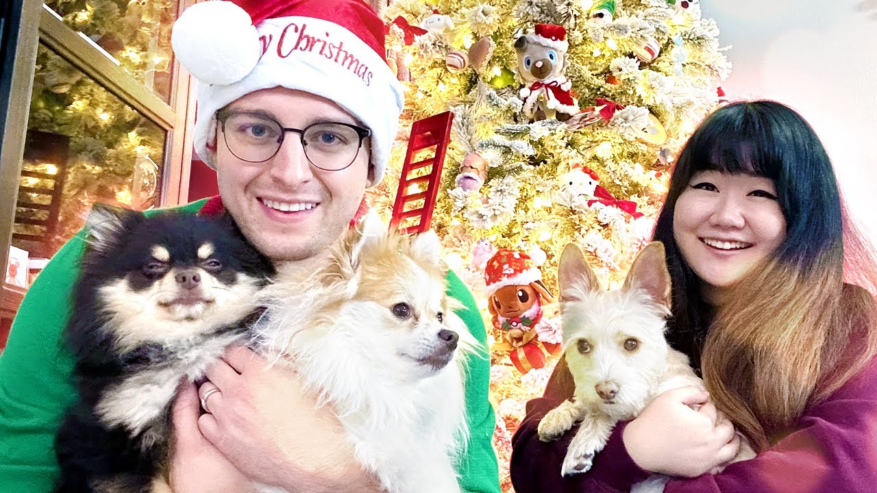 Another Dog?! 2022 Lastic and Ry Christmas Decorating Vlog! - YouTube