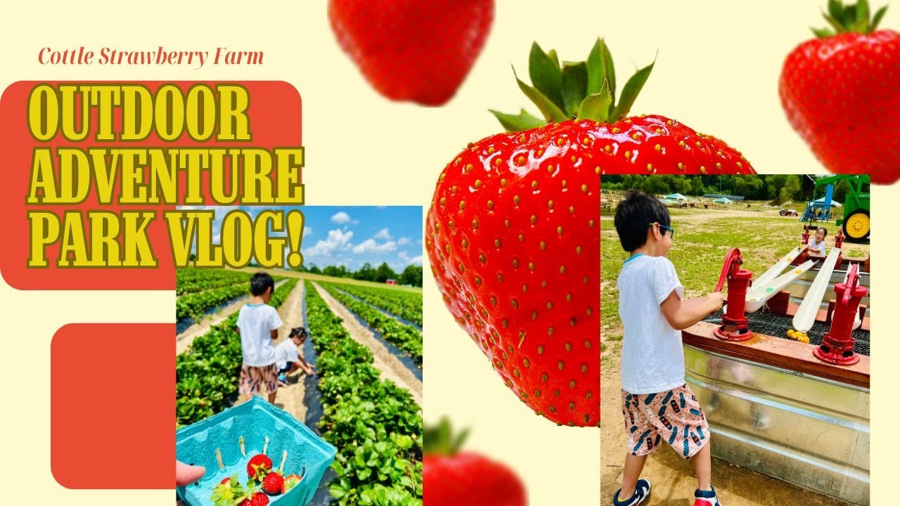 Tricycle Races, Rubber Duck Hoarding, and Strawberry Picking! - YouTube