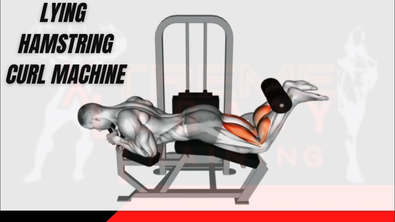 Lying Hamstring Curl Machine - YouTube