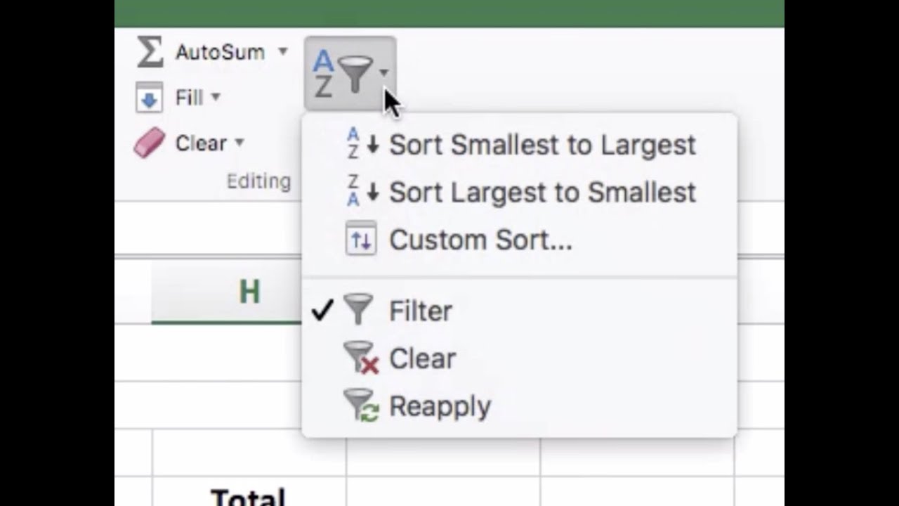 Microsoft Office - Excel: Tables Part 2 Sort and Filter - YouTube