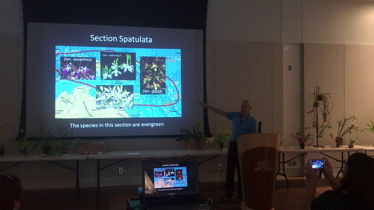 Decoding Dendrobiums With Mark Reinke Brought To You By I Kill Orchids ...