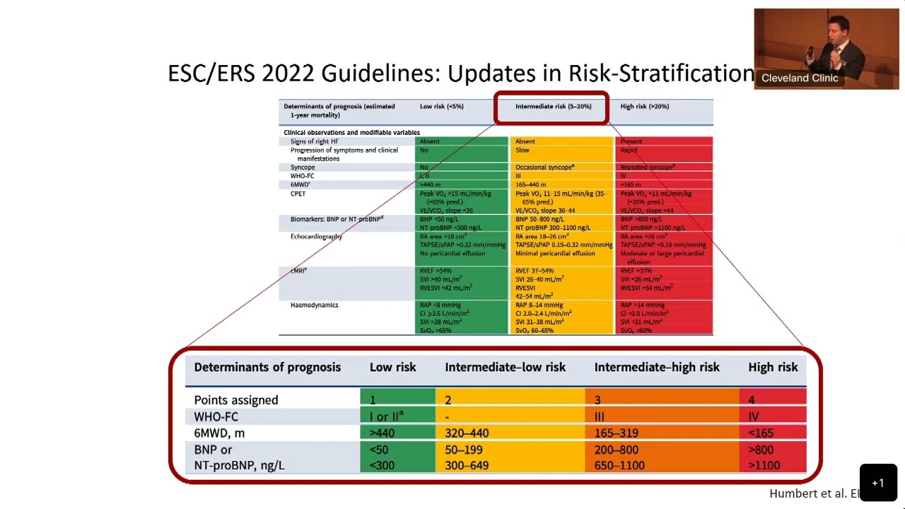 Risk Stratification and Current Treatment Algorithm- Anthony R. Cucci ...