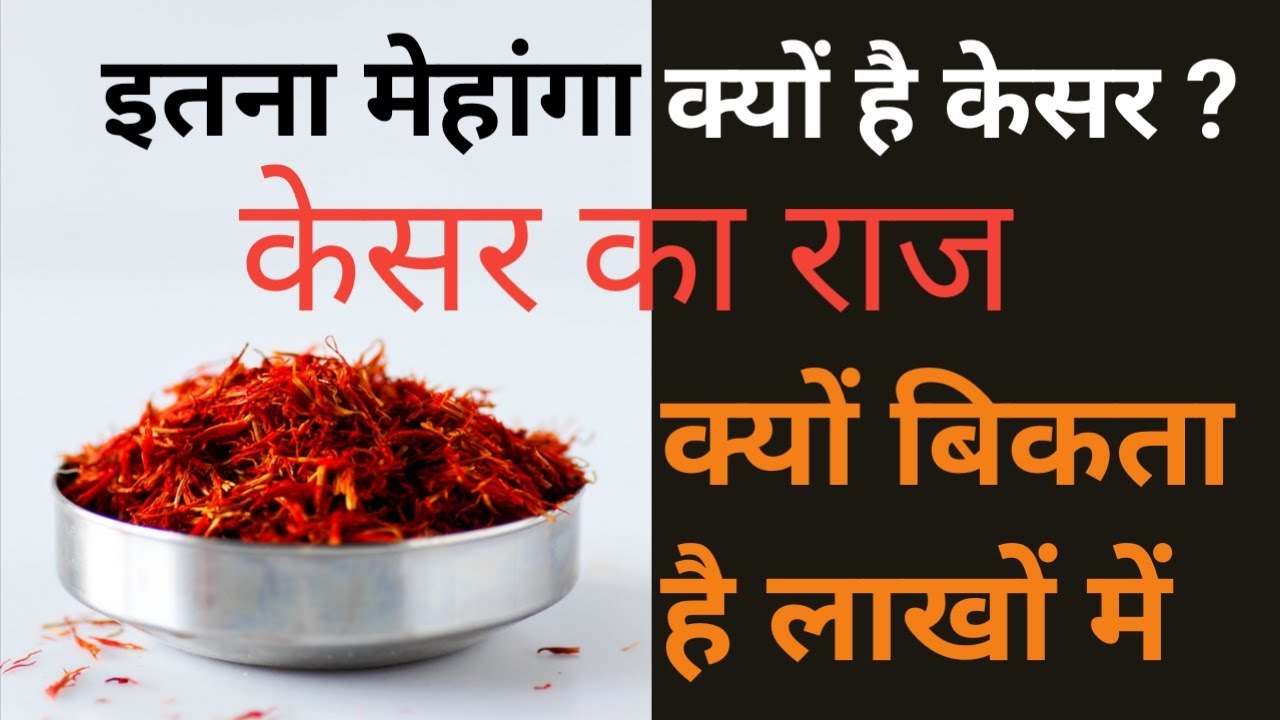 इतना महंगा क्यों है केसर ,why Kesar is so expensive - YouTube