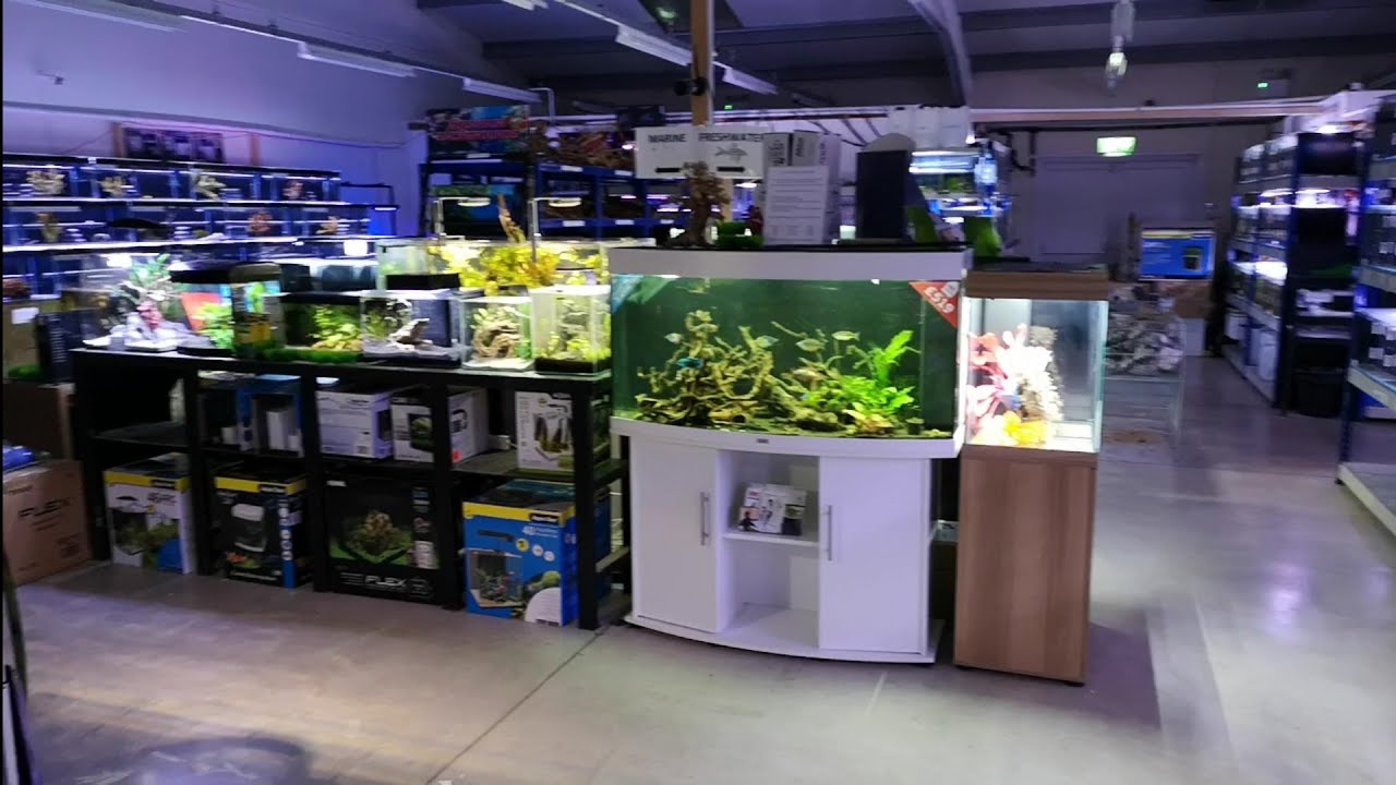 Full shop Tour! - YouTube
