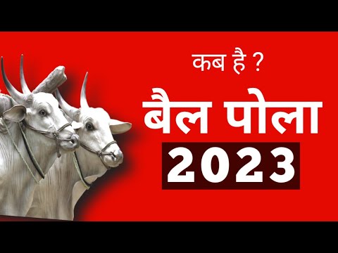 Pola Kab Hai 2023 Mein? | बैल पोला 2023 कब है ? । bail pola 2023 date? । bail pola date 2023 ...
