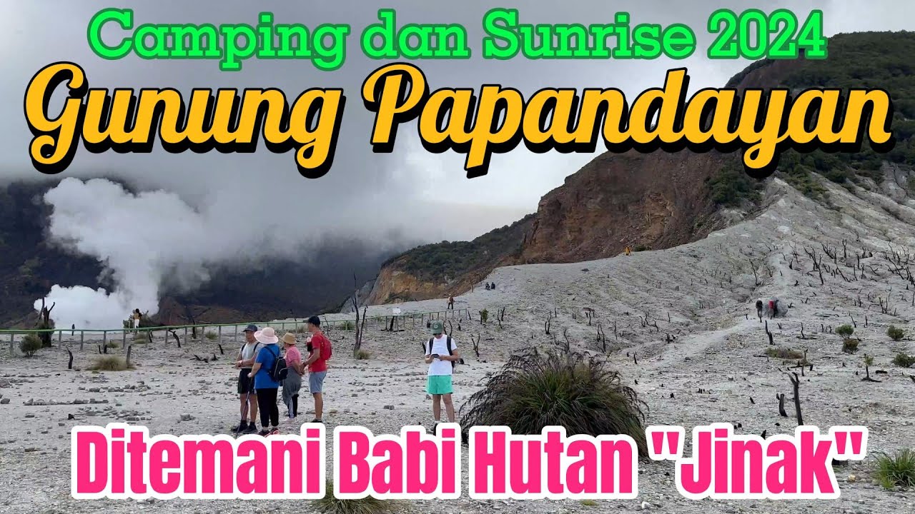 Pendakian Gunung Papandayan 2024, ditemani Babi Hutan #gunungpapandayan ...