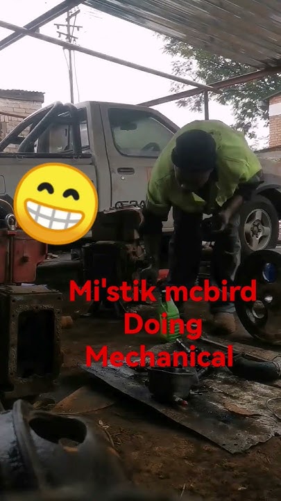 Mi'stik mcbird doing mechanical Ghaf #Mechanical #Zimbabwe #southafrica ...