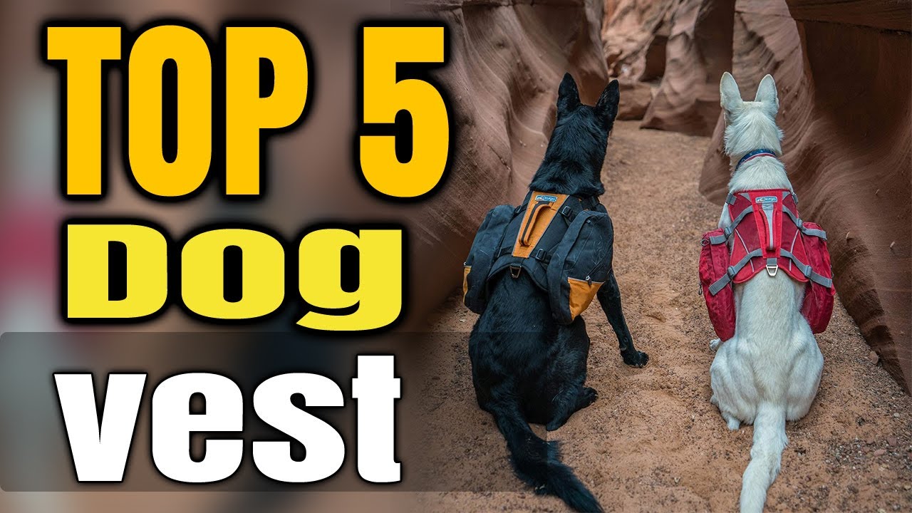 Best Service Dog Vest With Saddlebags, Working Dog Vest Backpack - YouTube