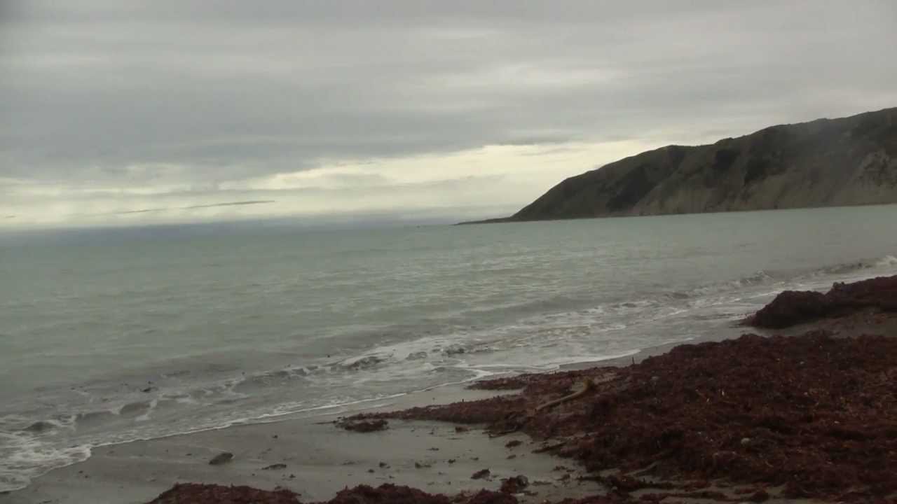 Marfells Beach, Clifford Bay, New Zealand. Залив Клиффорд (1411sp ...