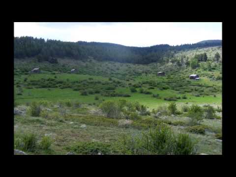 Guzerenliyim Deme Gardaş