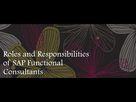 Roles and Responsibilities of Functional consultant in SAP Projects ...