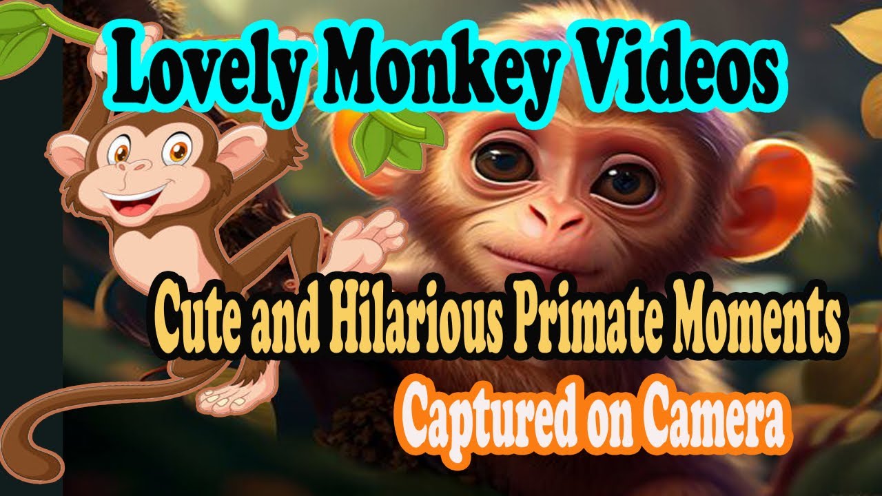 "Lovely Monkey Videos: Cute and Hilarious Primate Moments Captured on ...