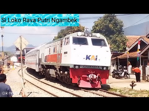 SI LOKO RAVA PUTRI NGAMBEK...!!! Kereta Api Ka Serayu Pagi Mengamuk ...