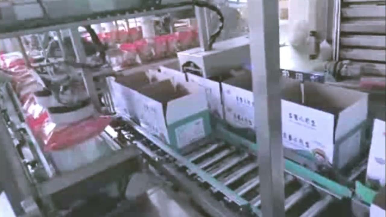 Peanut bags carton packaging line automatic bag cartoner - YouTube