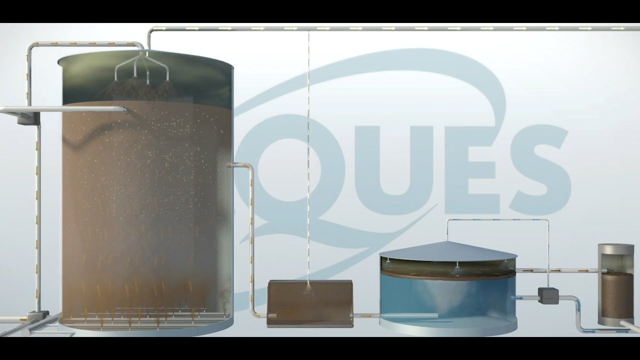 Tecnologia Paques BIOPAQ®AFR em português - YouTube