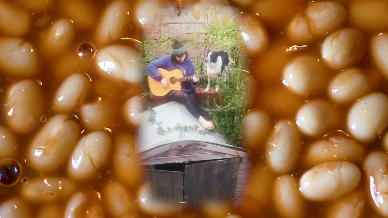 Bean Weevil - Beans on Toast - YouTube