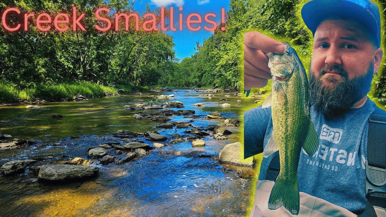 Wading for CREEK SMALLIES! (Most scenic creek in Illinois?) - YouTube