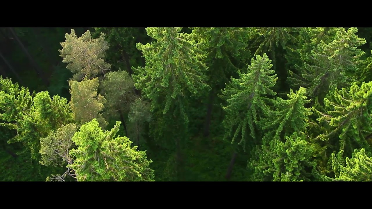 KOTI®MUSTARD - YouTube