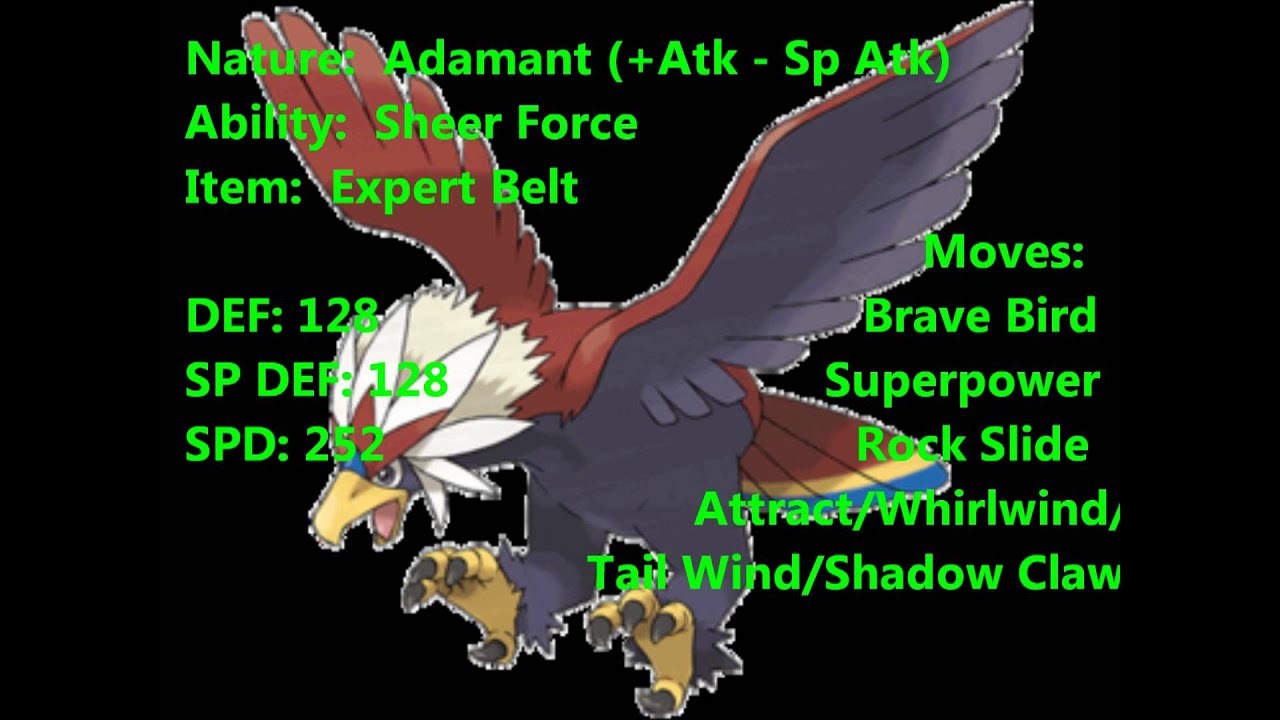 Pokemon Black and White Pokemon Review: Braviary - YouTube
