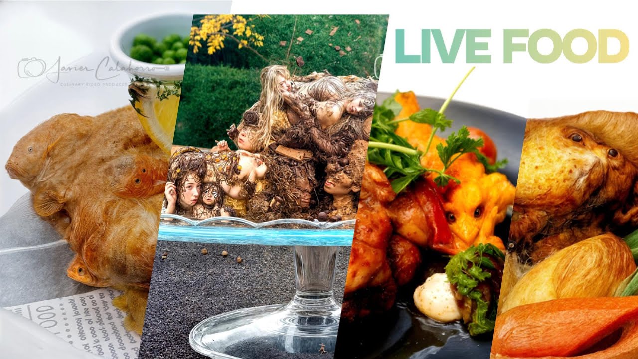 999 FOOD IS ALIVE - YouTube