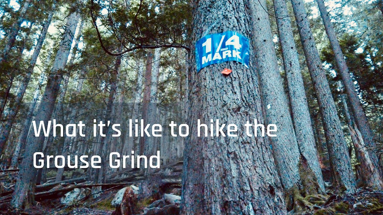 What it's like hiking the Grouse Grind - Mother Nature's Stairmaster ...