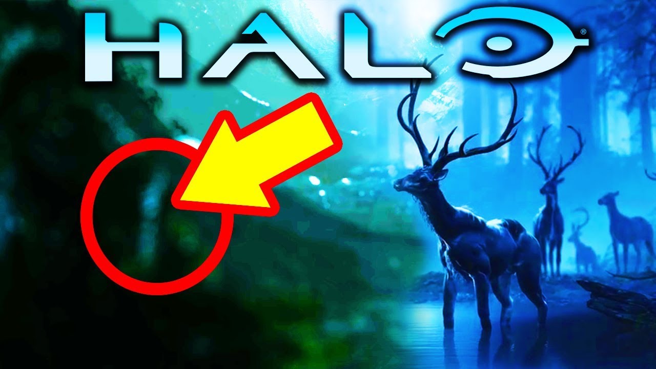 Halo Infinite CREATURE SPOTTED in trailer + all new Wildlife in ...