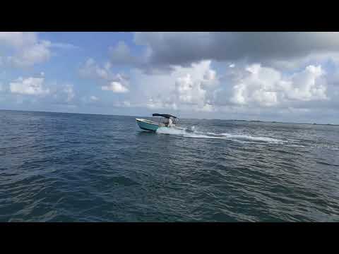 Proline Flatback - YouTube