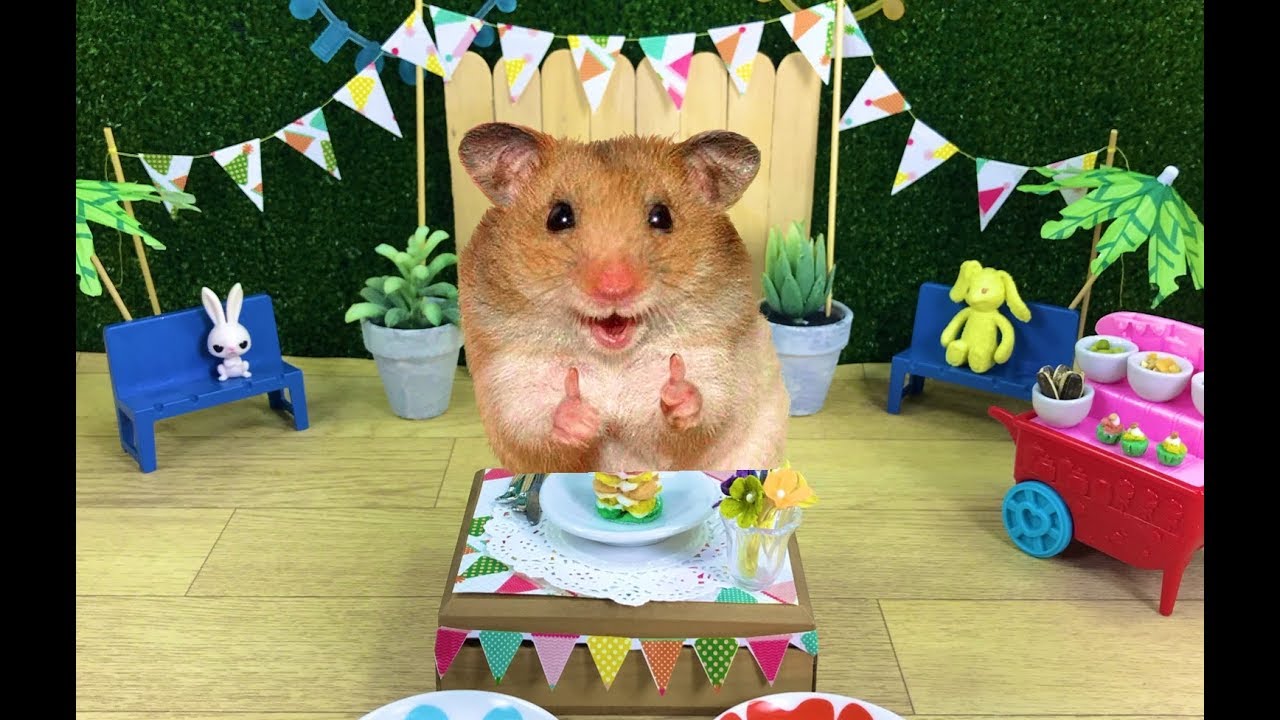 Así festejamos el Cumpleaños de mi Hamster Cuy cuy | LUNA MIA MASCOTAS ...