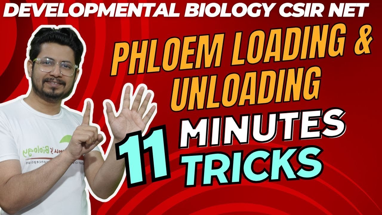 Phloem loading and unloading in plants for csir net | Tricks to ...