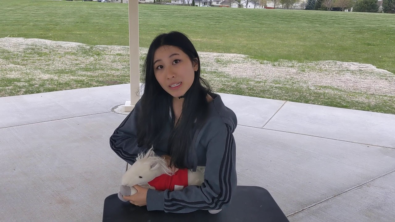 Feline Restraint in Standing And Sternal - YouTube