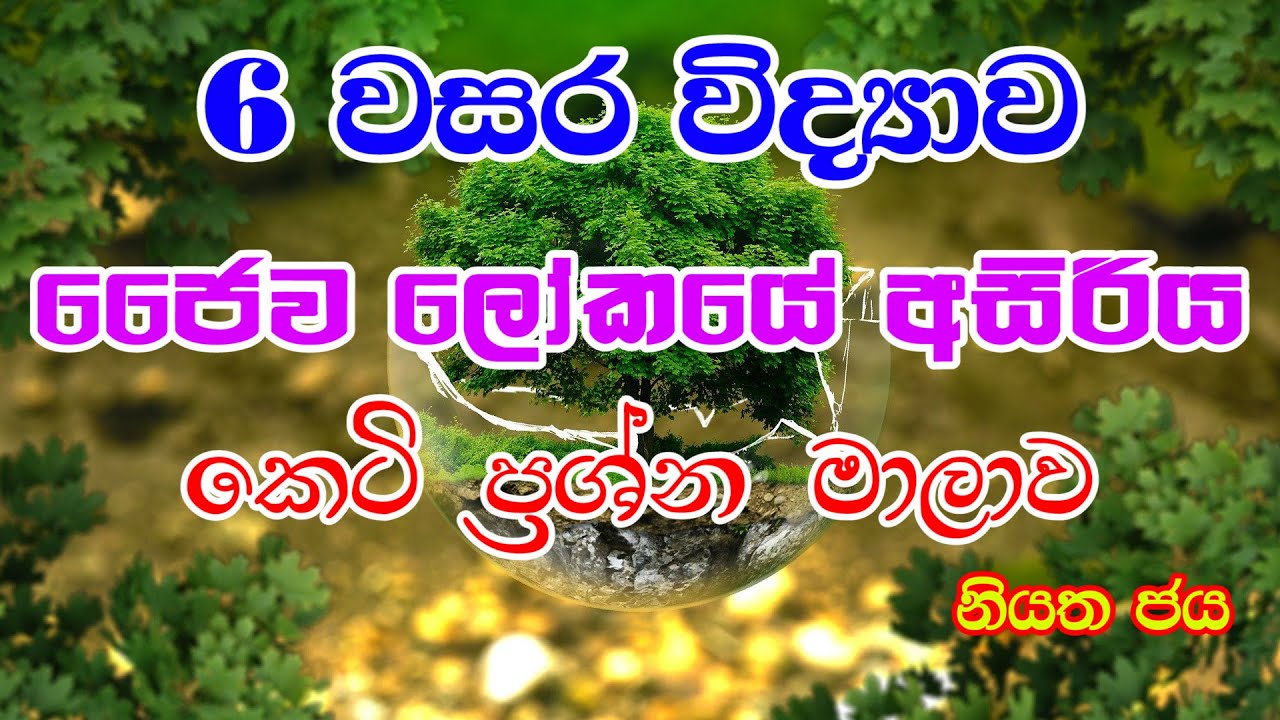 Grade 06 Science lessons in Sinhala | | 6 වසර විද්‍යාව | ජෛව ලෝකයේ ...