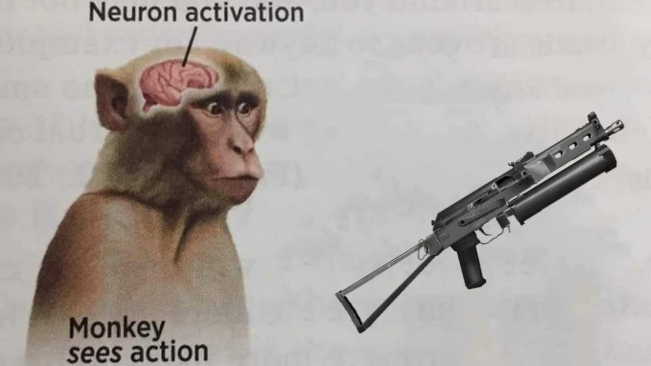 CS Constant Monkey Action - CS:GOBLOK #1 - YouTube