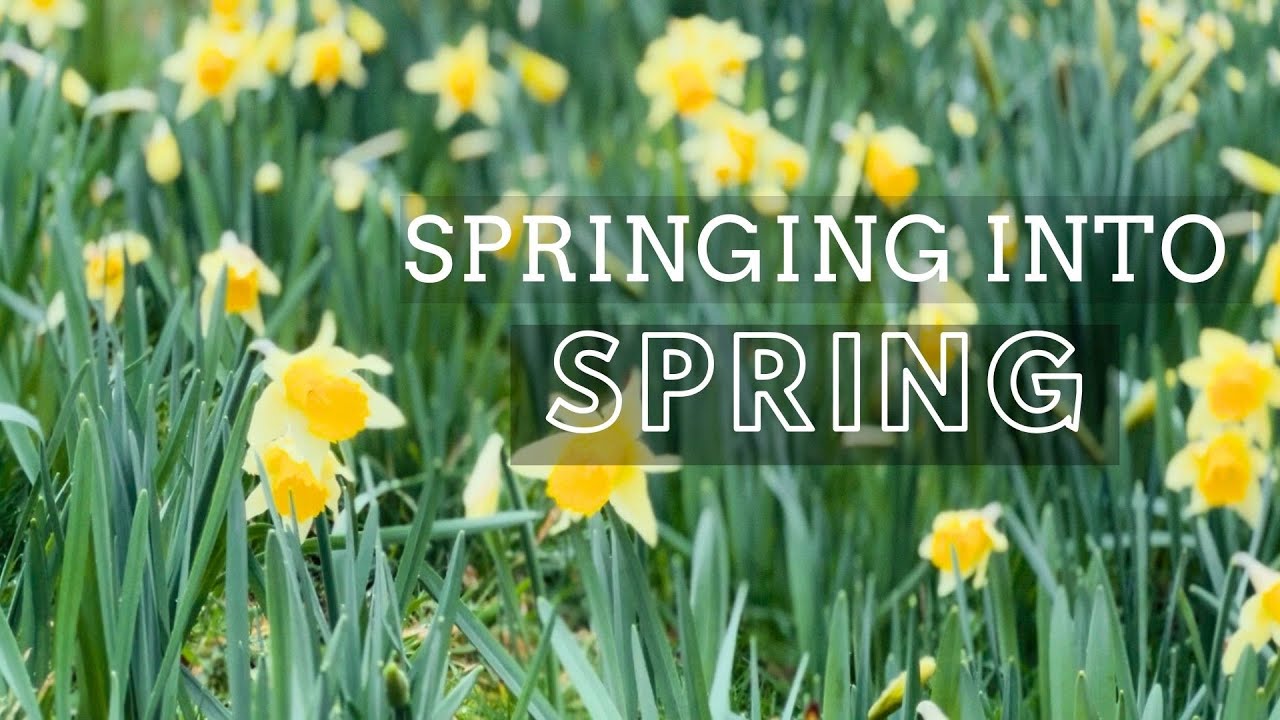 11 Springing Into Spring - YouTube