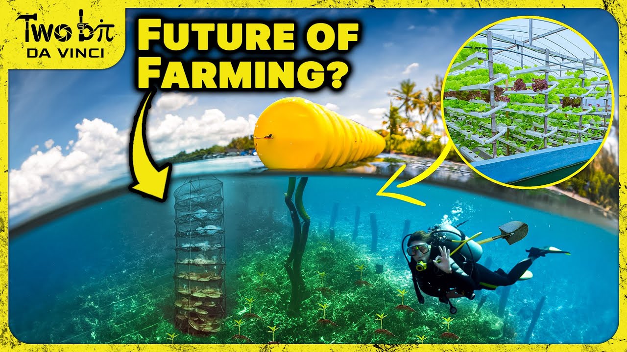 Scientists Want to Start Ocean Farms - This Surprised Me! - YouTube
