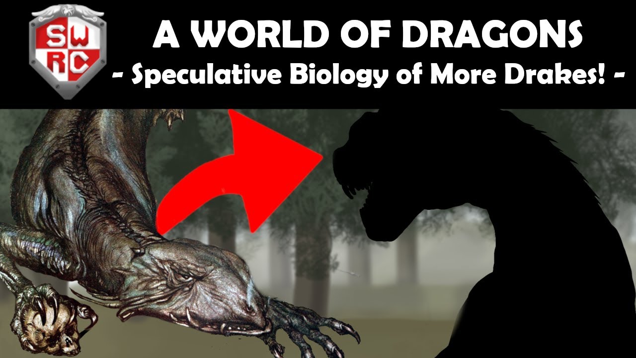 A World of Dragons: Speculative Biology of Drakes Part II! - YouTube