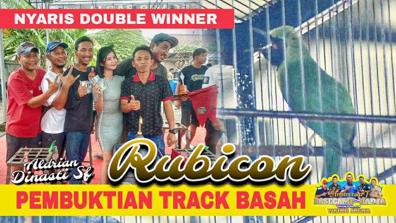 TRACK BASAH GASPOL !! Cucak Ijo RUBICON Nyaris DOUBLE WINNER Di ...