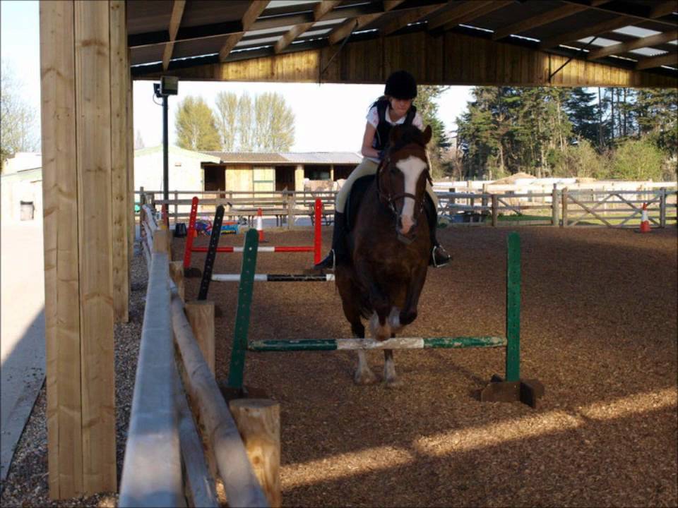 Swang Pony Centre - read description for more info! - YouTube