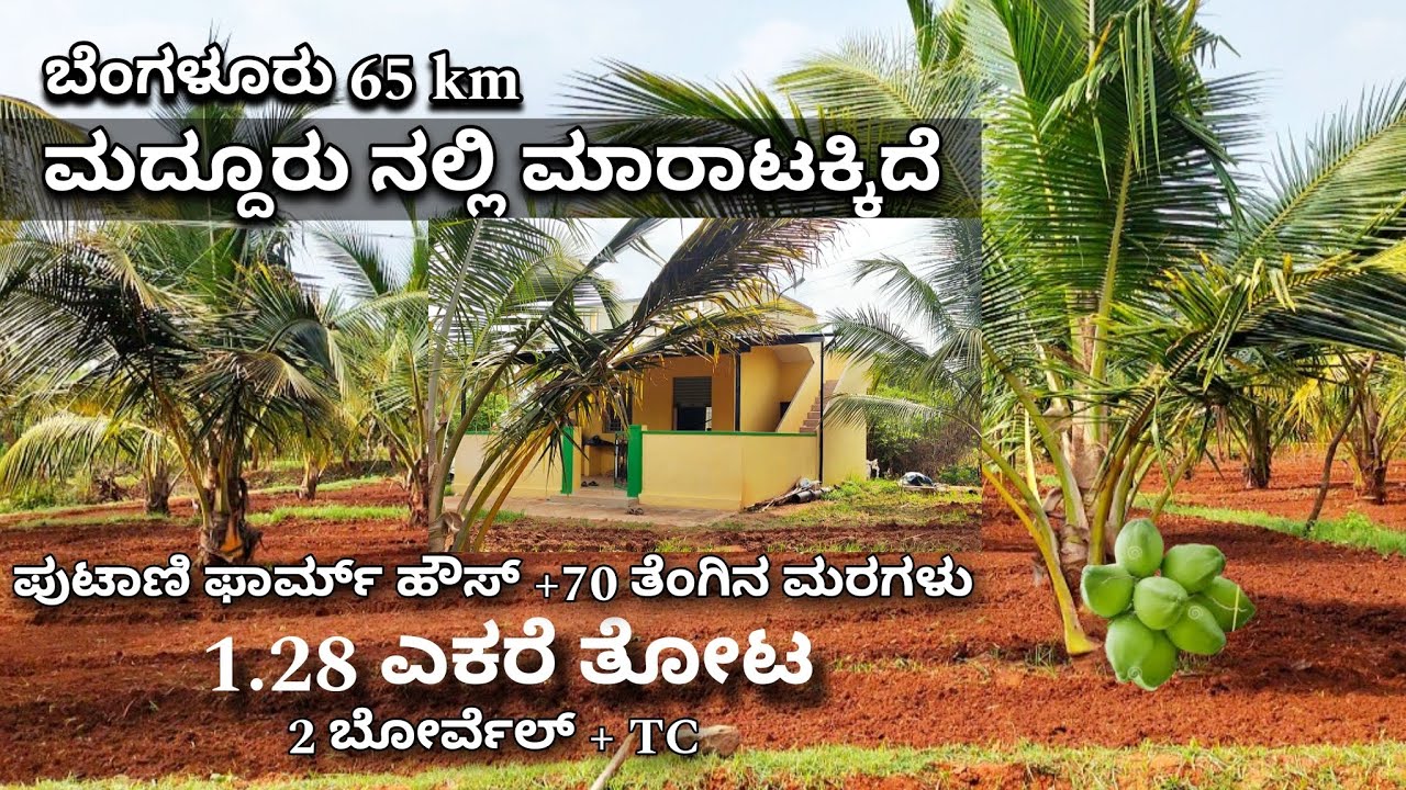 1.28 Acre Coconut Farmland with Farmhouse Sale in Maddur, Near ...