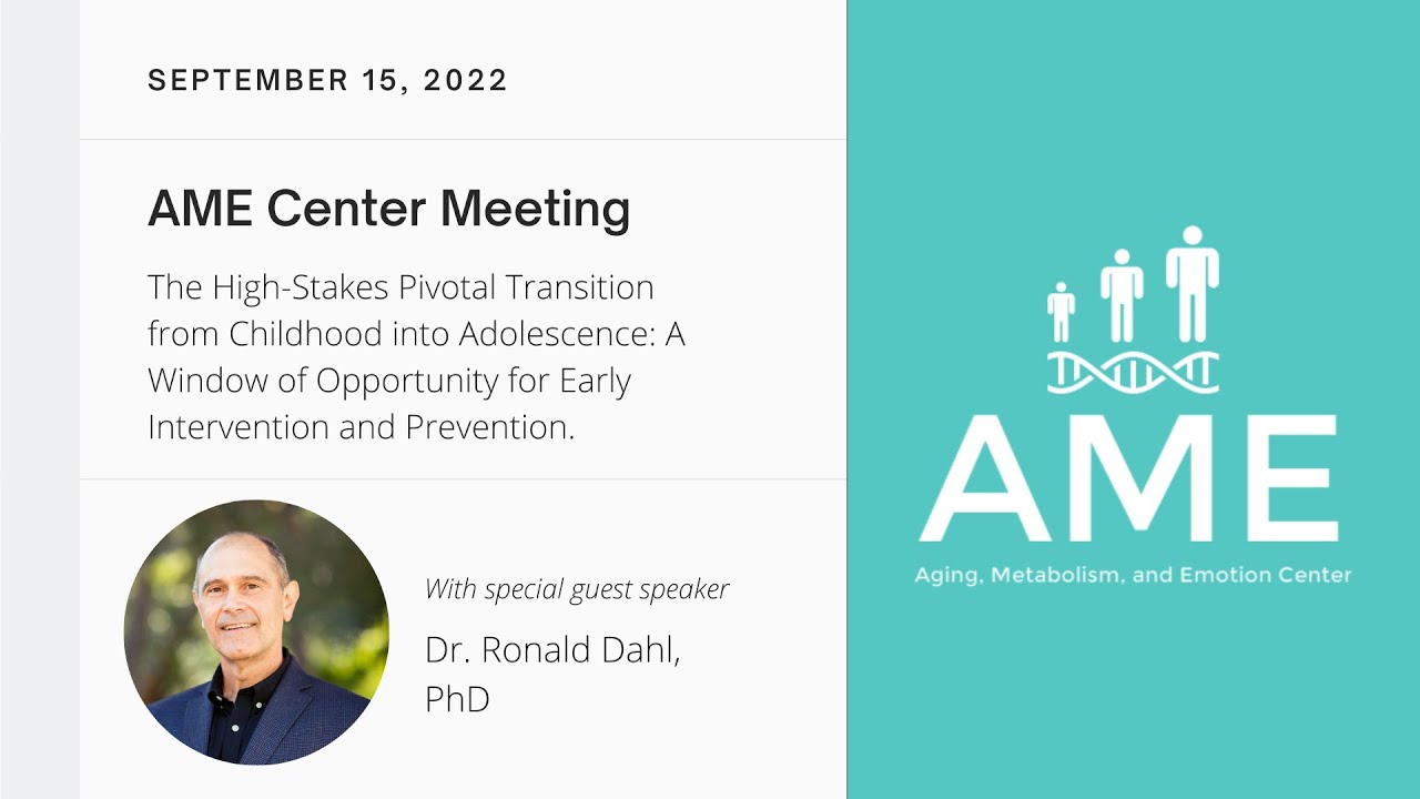 AME Meeting with Ronald Dahl: The High Stakes Pivotal Transition from ...