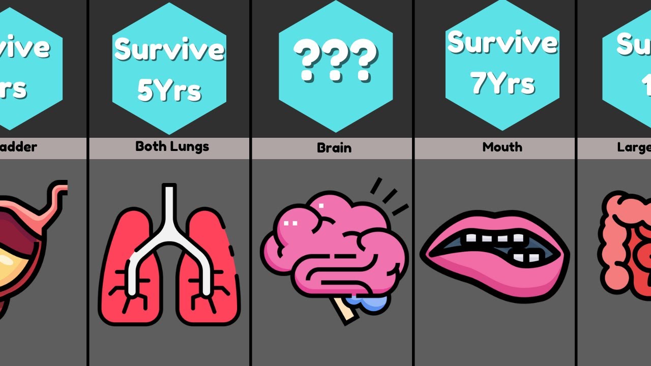 Comparison : How Long Can You Survive Without Organs? - YouTube
