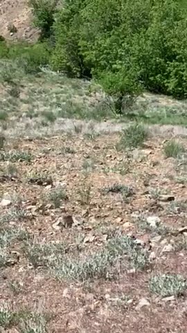 Why Are Rolling Rocks Down Hills So Much Fun!? - YouTube