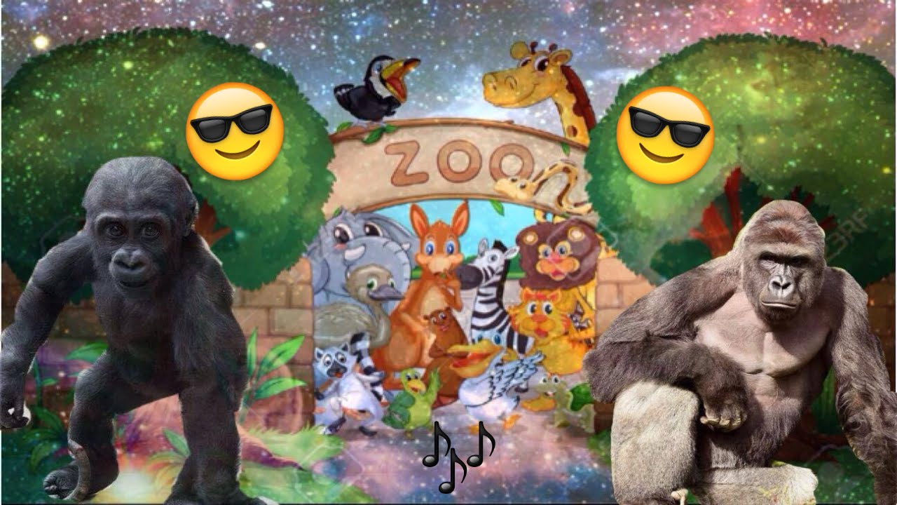 OFFICIAL HARAMBE SONG!!!! "Harambe Mcharambeface" *SATIRE SONG ...