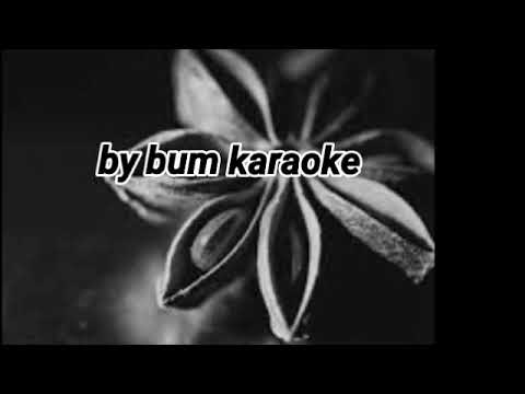 Darko Lazic-Majko-Karaoke